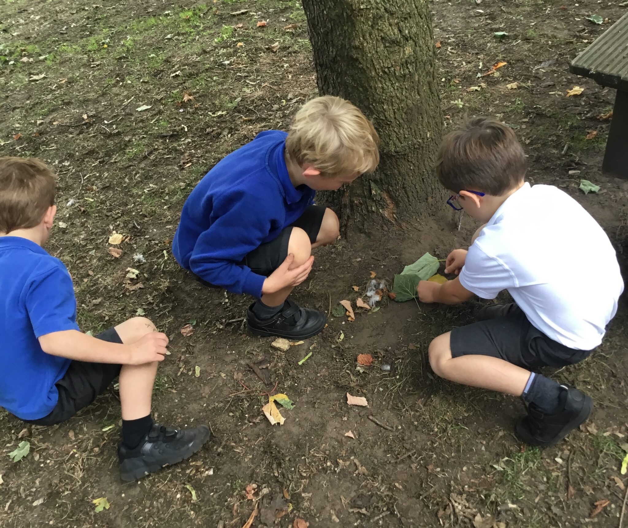 Our Pupils | North Cave C of E Primary School